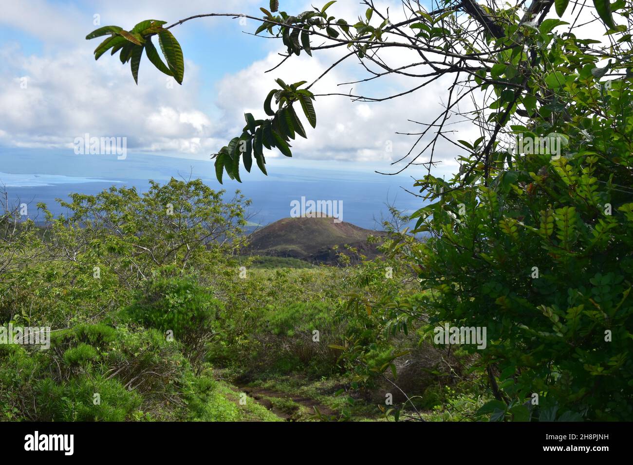Galapagos volcano hi-res stock photography and images - Alamy