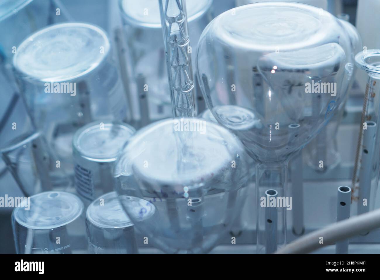 Laboratory glass flasks and test tubes on a rack. Research concept ...