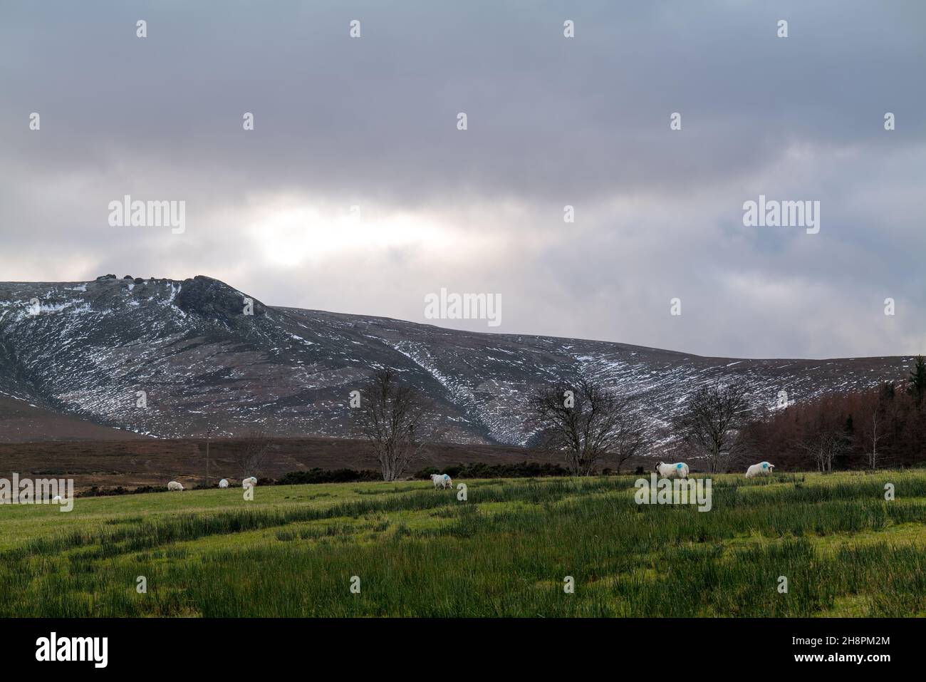 DUFFTOWN, MORAY, SCOTLAND - 1 DECEMBER 2021: This is the peak of Moray ...