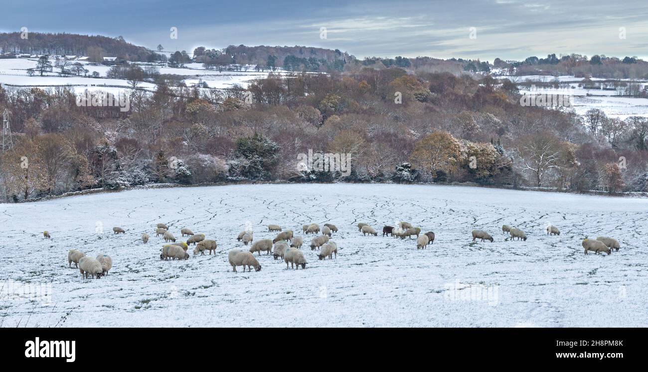 Our yorkshire farm hi-res stock photography and images - Alamy