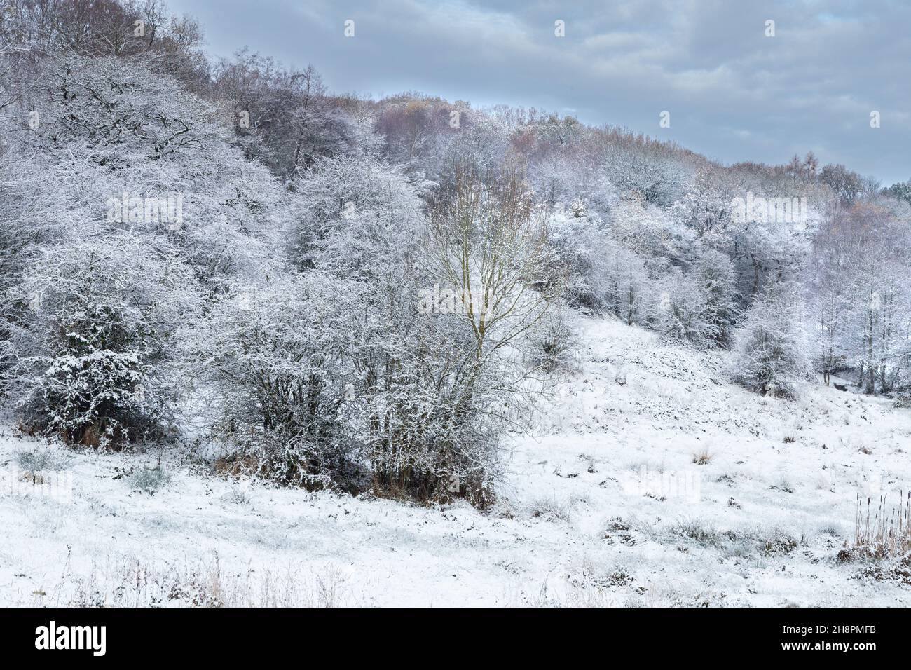 Snow covered trees in the countryside around Baildon, Yorkshire Stock ...