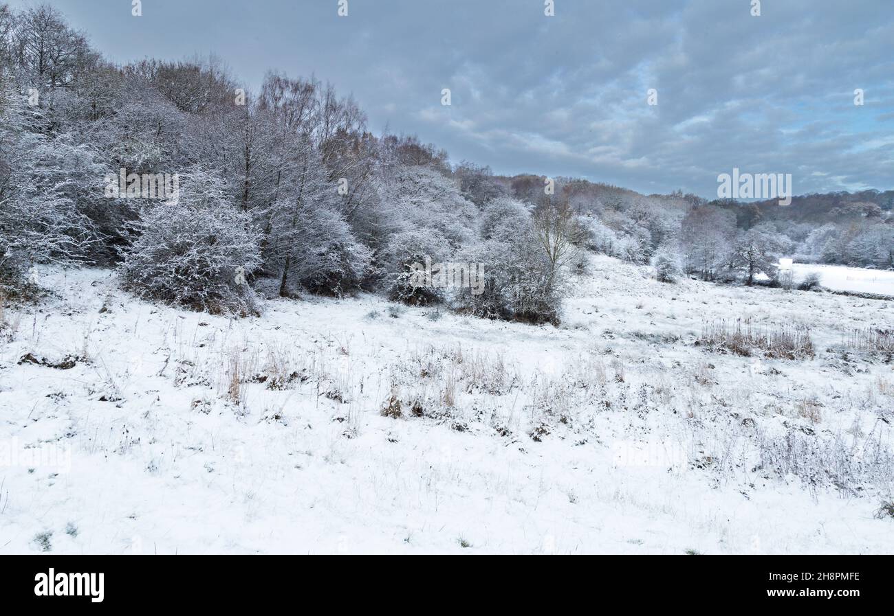 Snow covered trees in the countryside around Baildon, Yorkshire Stock ...