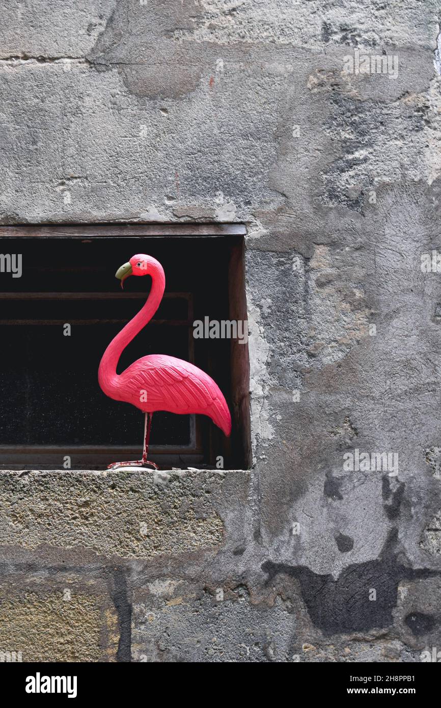 Artificial pink flamingo used as a decoration on the window. Surrounded ...