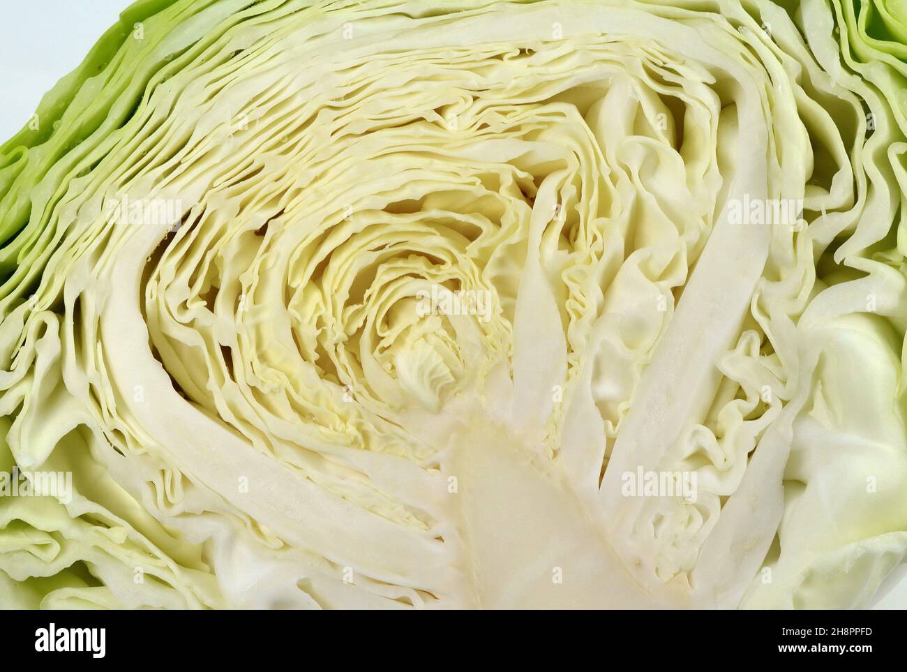 Cabbage section background. Cabbage texture Stock Photo - Alamy