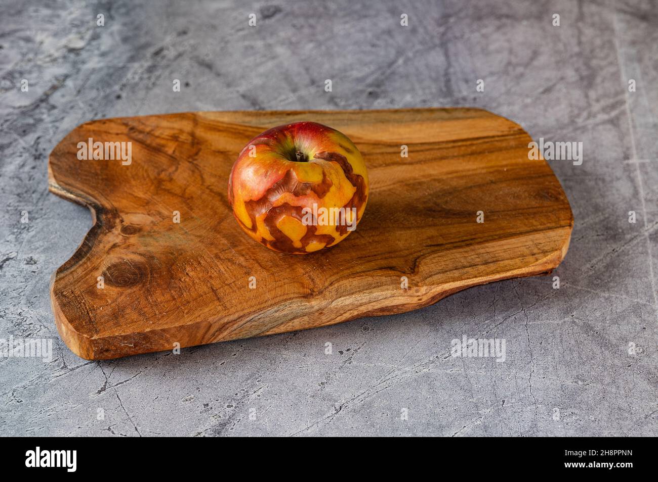 inedible apple with worm infestation on a wooden board with a grey ...
