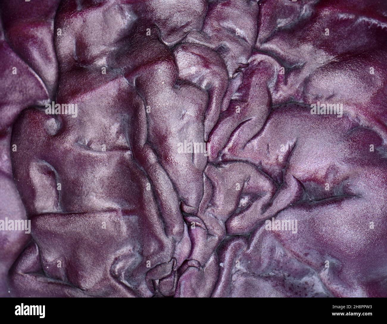Red cabbage close-up. The texture of the cut cabbage. Macro red cabbage ...