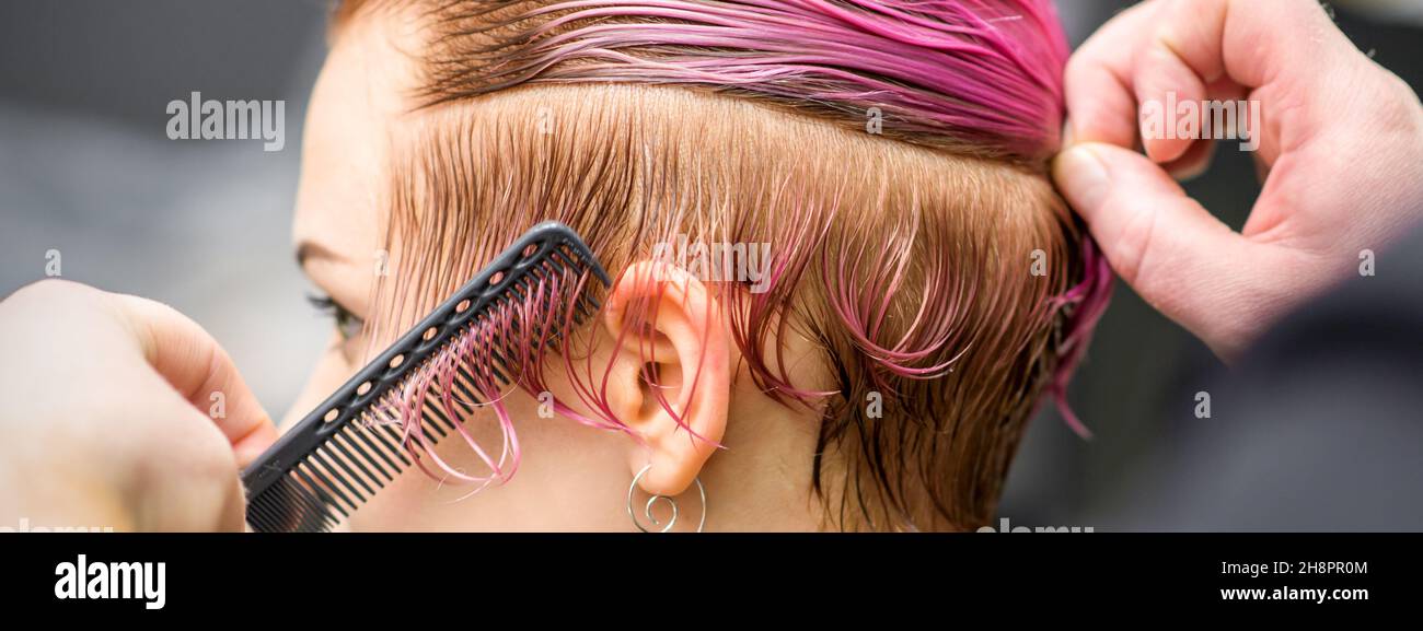 Combing the hair of a young woman during coloring hair in pink color at ...