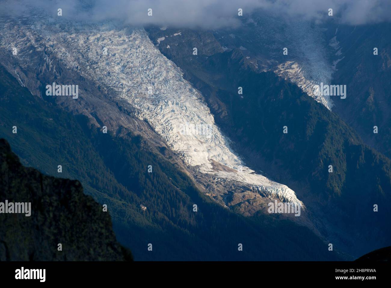 Gletscherzunge see hi-res stock photography and images - Alamy