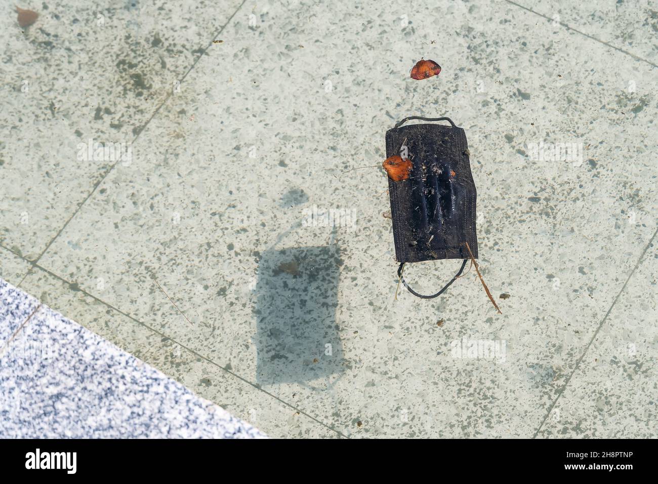 Black medical mask floats in the fountain, top view. Careless handling ...