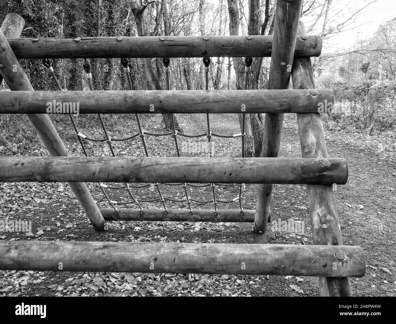 Frame of logs hi-res stock photography and images - Alamy