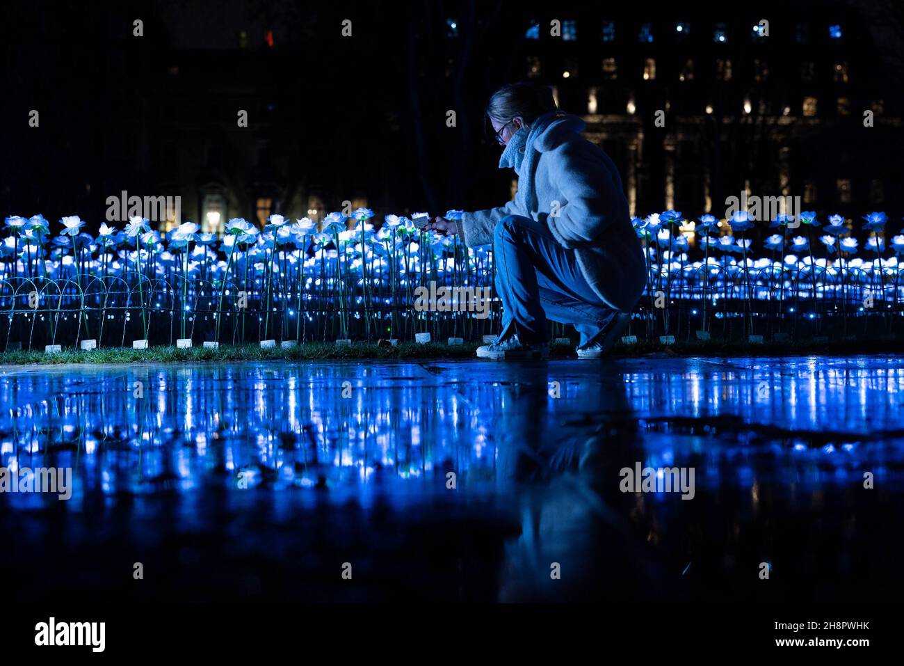 EDITORIAL USE ONLY General views of 25,000 illuminated roses at the ...