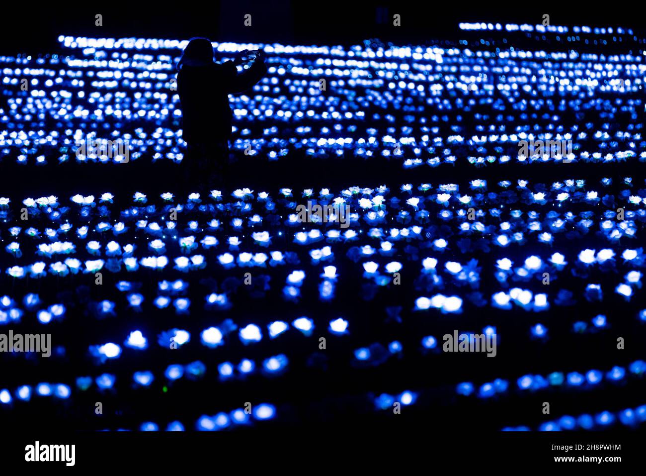 EDITORIAL USE ONLY General views of 25,000 illuminated roses at the ...