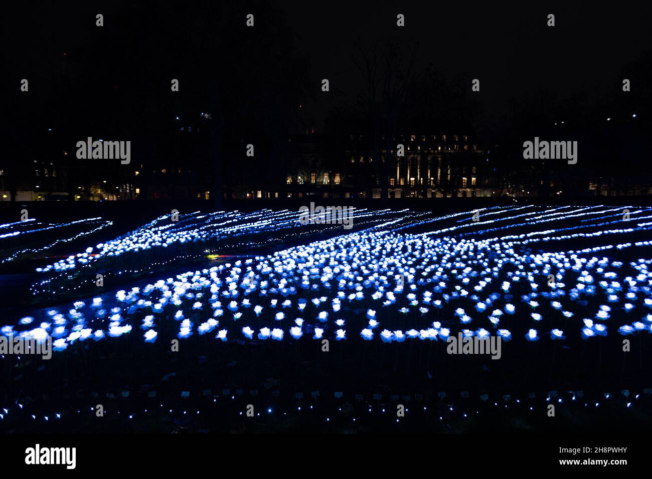 EDITORIAL USE ONLY General views of 25,000 illuminated roses at the ...