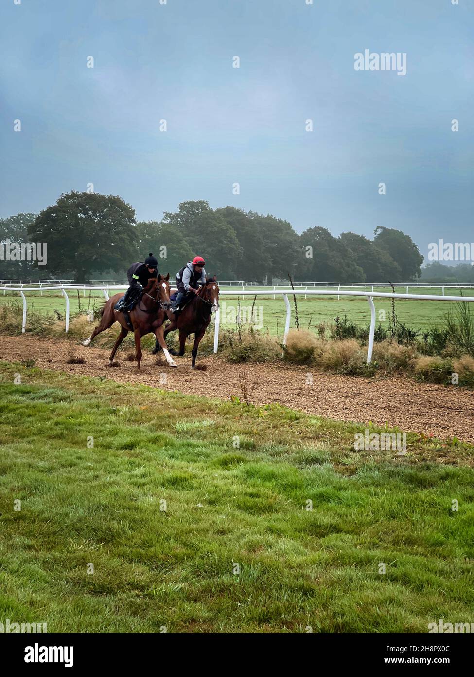 Training on the gallops hi-res stock photography and images - Alamy