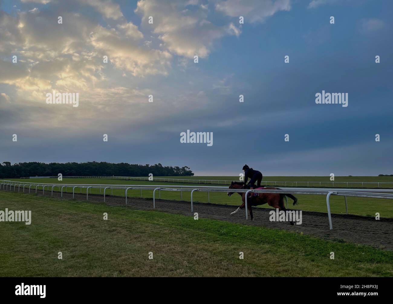 Newmarket training hi-res stock photography and images - Alamy
