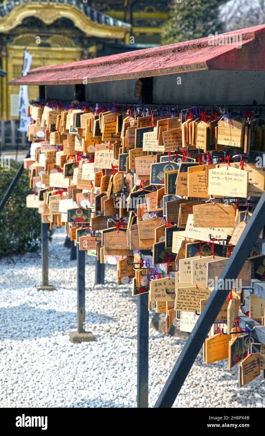 Ema wooden prayer plaques with propitious tanuki designs at the Ueno ...