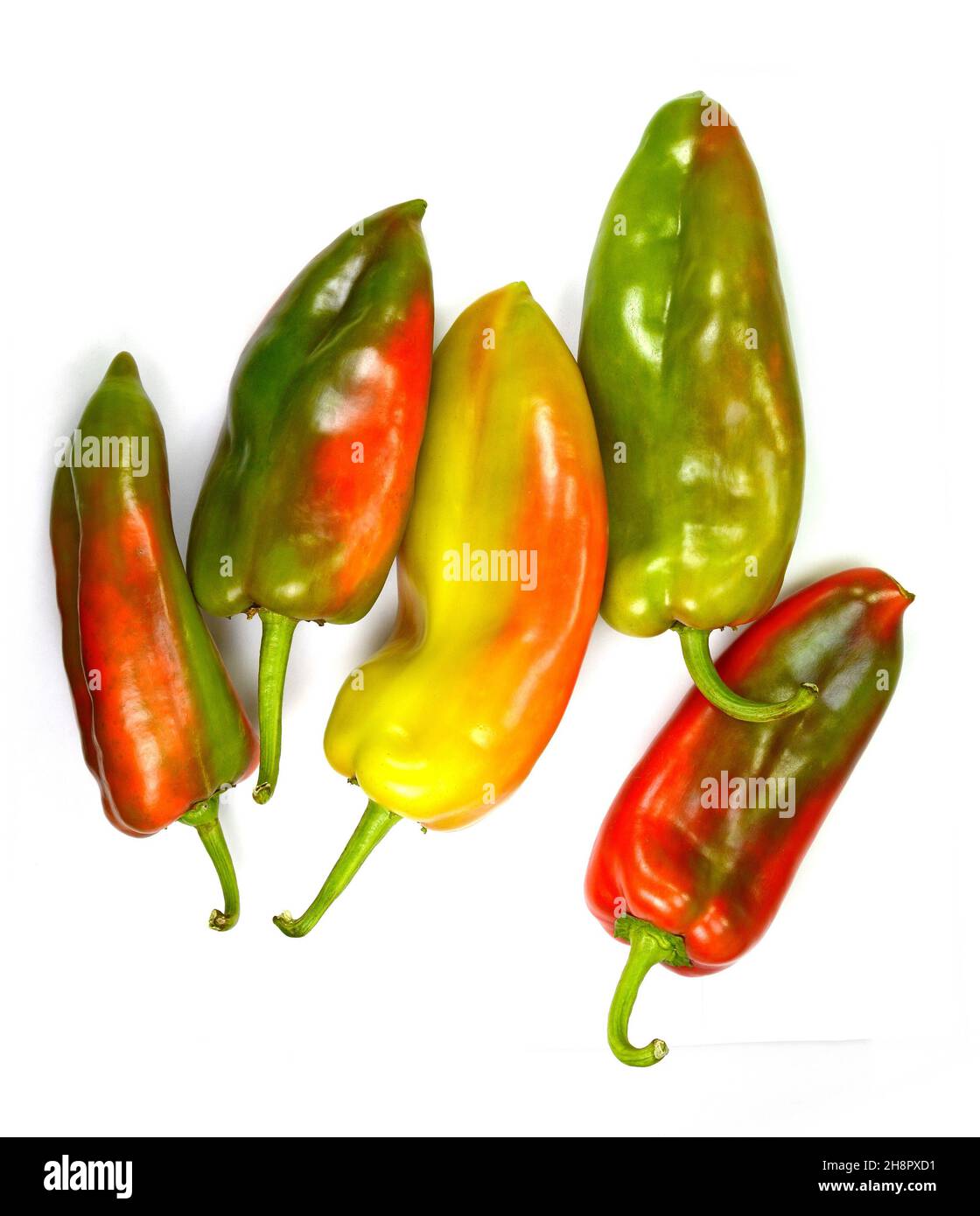 Different colored paprikas isolated on white background Stock Photo - Alamy