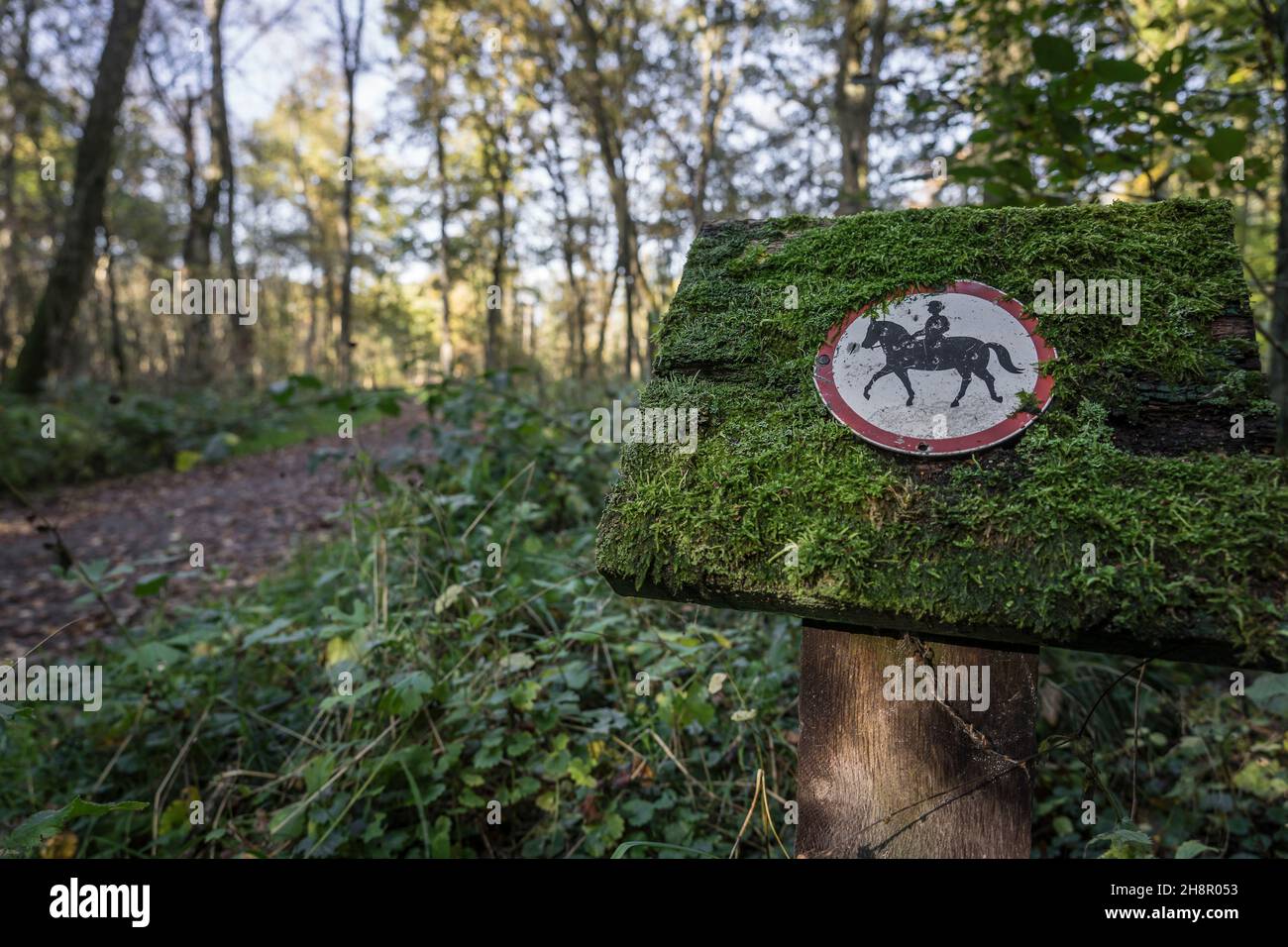 no riding sign in an environmental protected area Stock Photo - Alamy