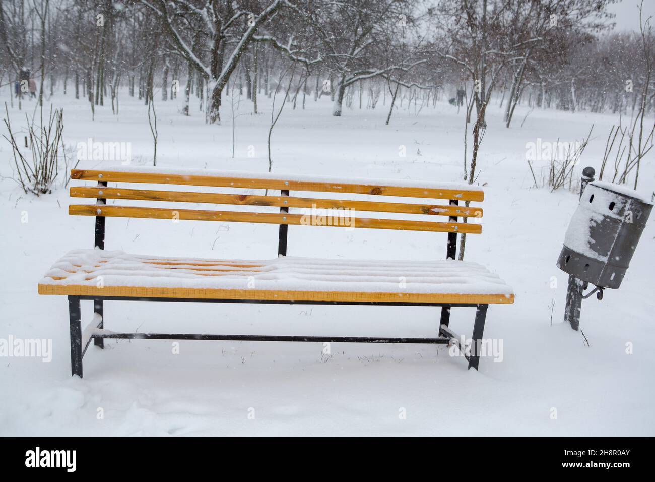 bench under the snow near snowy trees. Empty bench in forest under snow ...