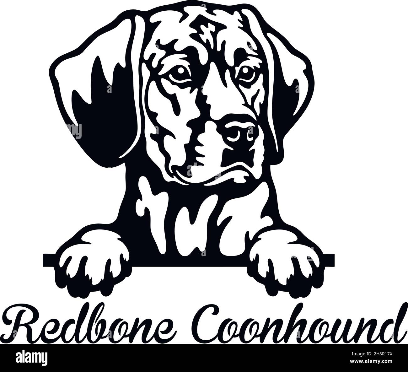 Redbone Coonhound Coloring Pages Coonhound Redbone Hi Res Stock