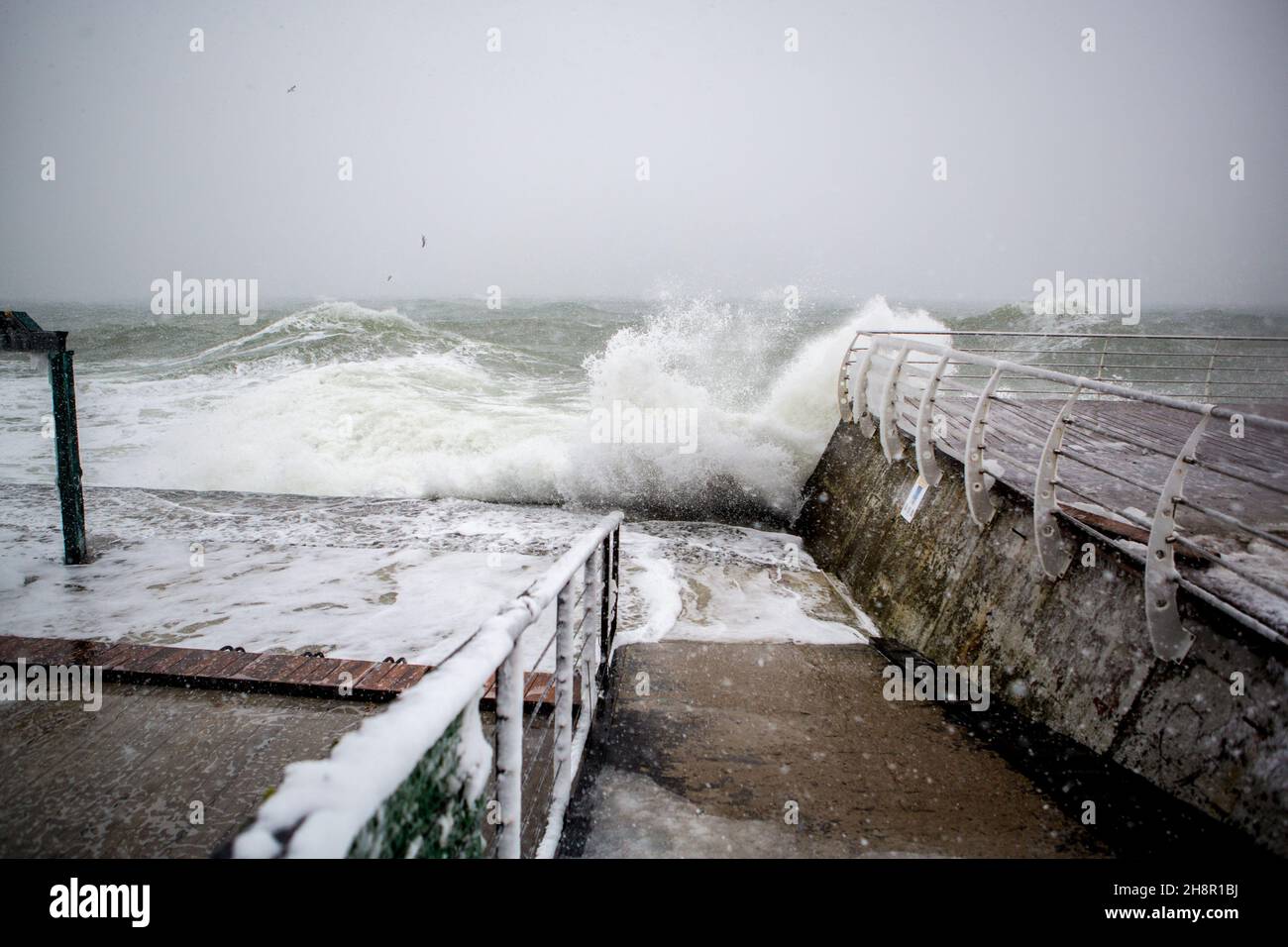 storm on shore in winter. strong storm in blizzard. Waves break sea ...