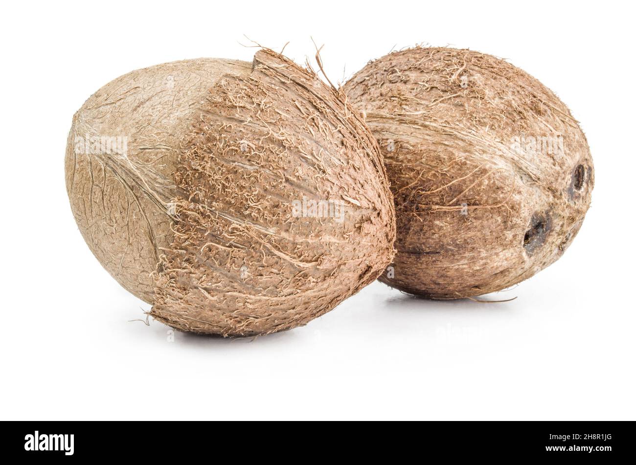 Coconut close-up on white Stock Photo - Alamy