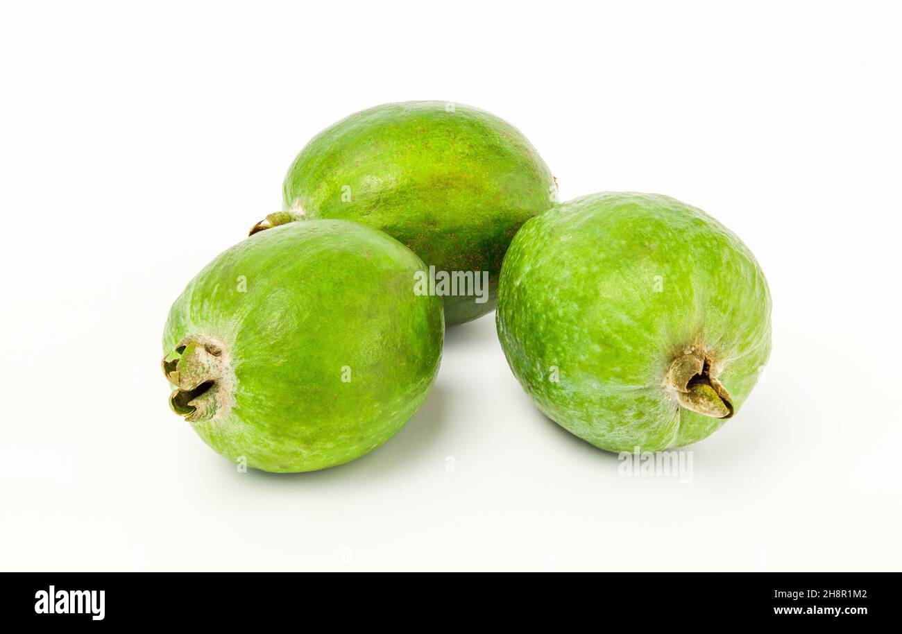 Three feijoa on white background Stock Photo - Alamy