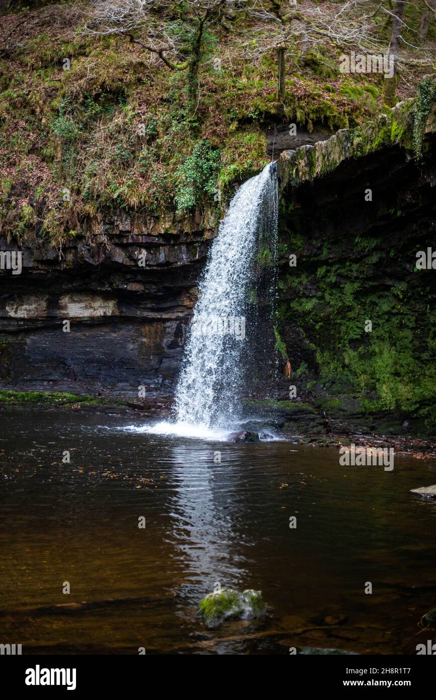 Sgwd Gwladus Waterfall, Brecon Beacon Stock Photo - Alamy