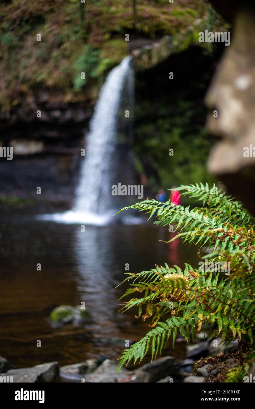 Sgwd Gwladus Waterfall, Brecon Beacon Stock Photo - Alamy