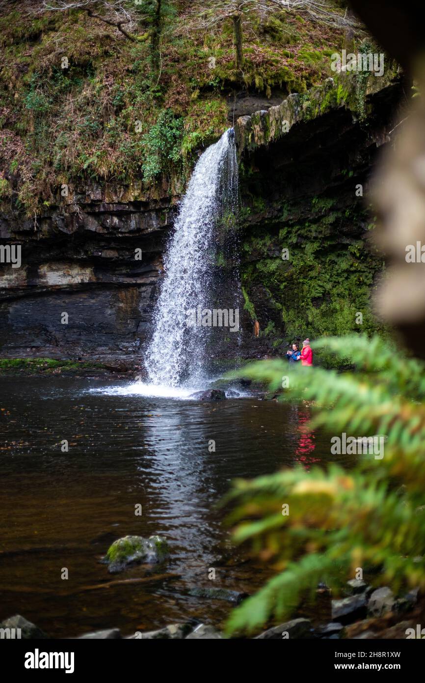 Sgwd Gwladus Waterfall, Brecon Beacon Stock Photo - Alamy