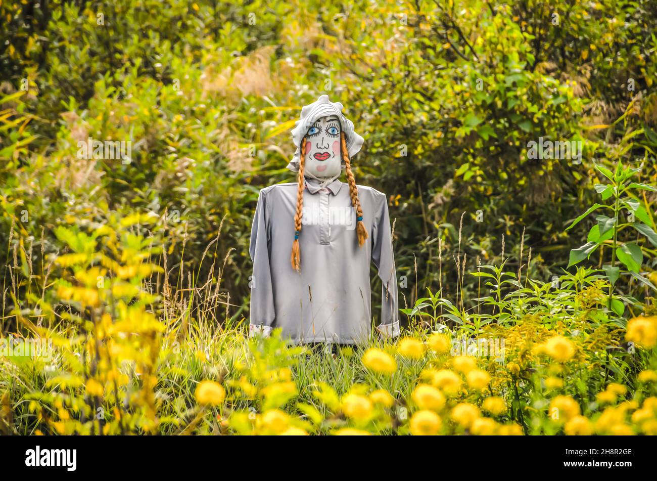 Scarecrow in the garden Stock Photo - Alamy