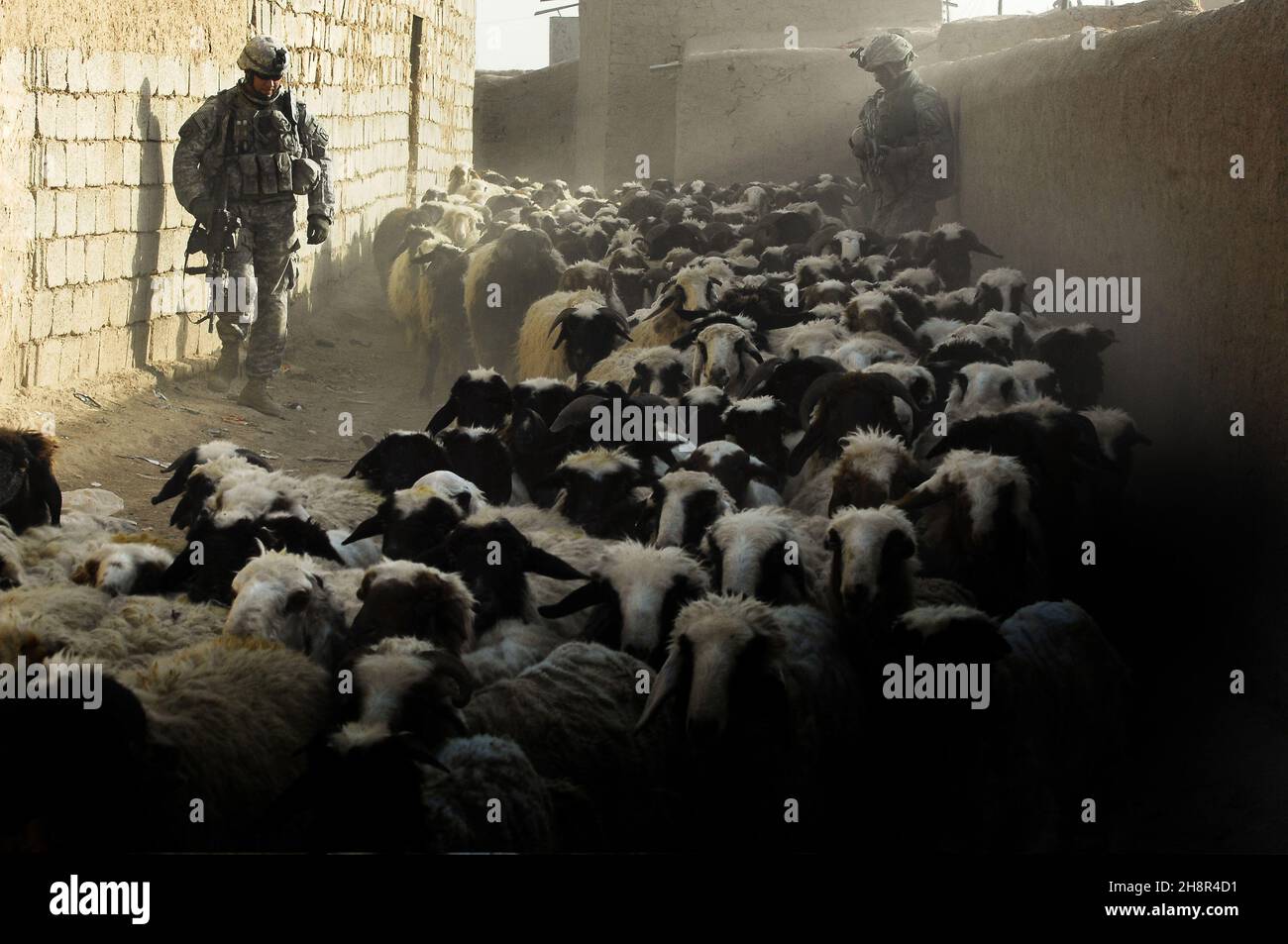 080403-F-1936B-147 U.S. Army soldiers watch as a flock of sheep moves ...