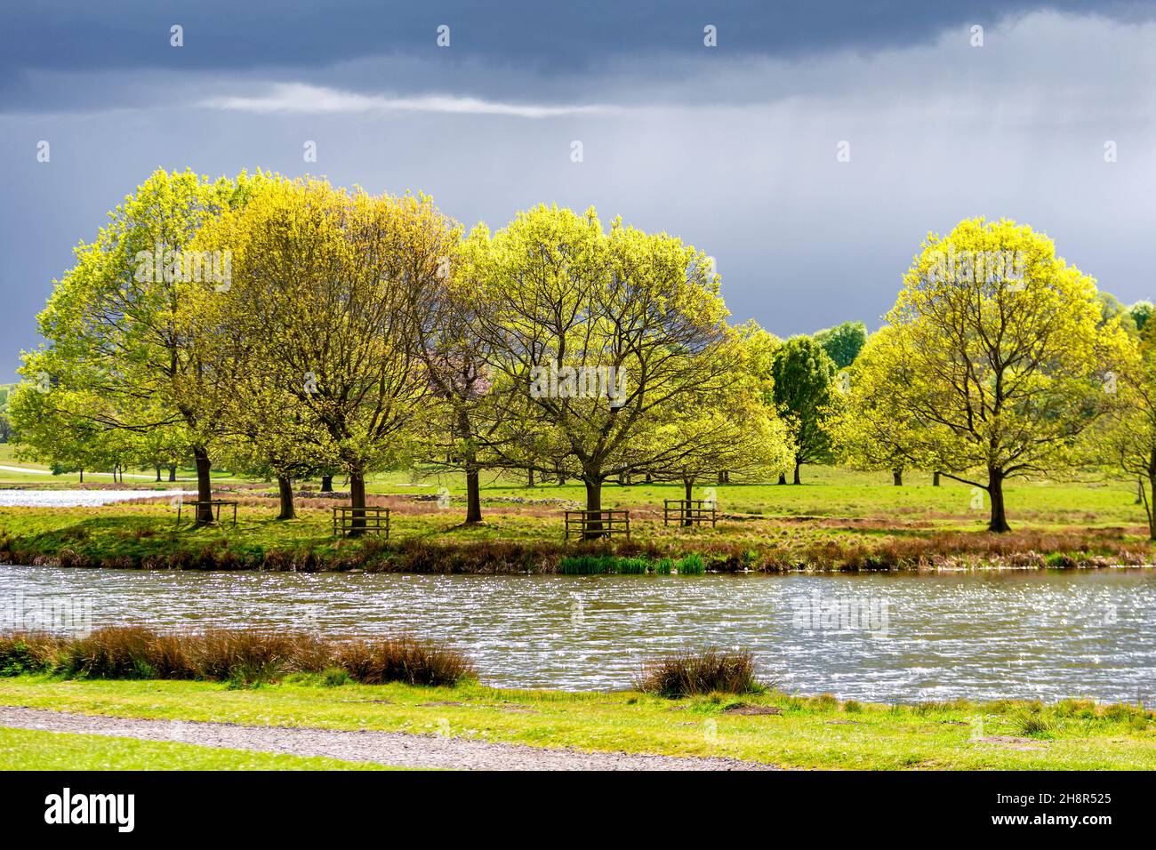 Melchett mere hi-res stock photography and images - Alamy