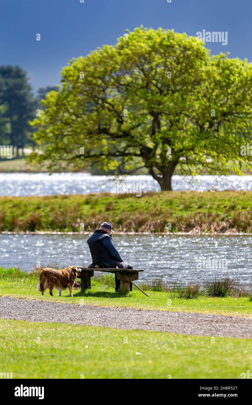Melchett mere hi-res stock photography and images - Alamy