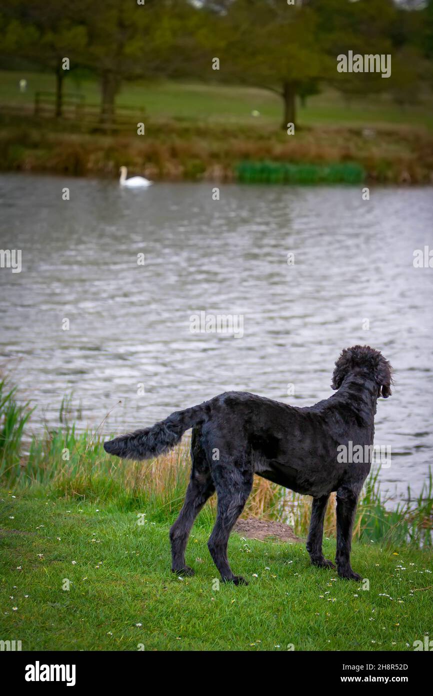 Melchett mere hi-res stock photography and images - Alamy