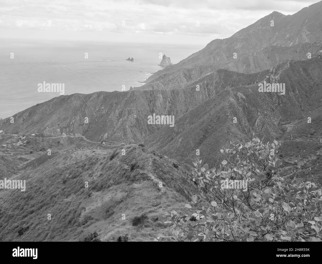 The Spanish Island Tenerife Stock Photo Alamy the-spanish-island-tenerife-stock-photo-alamy