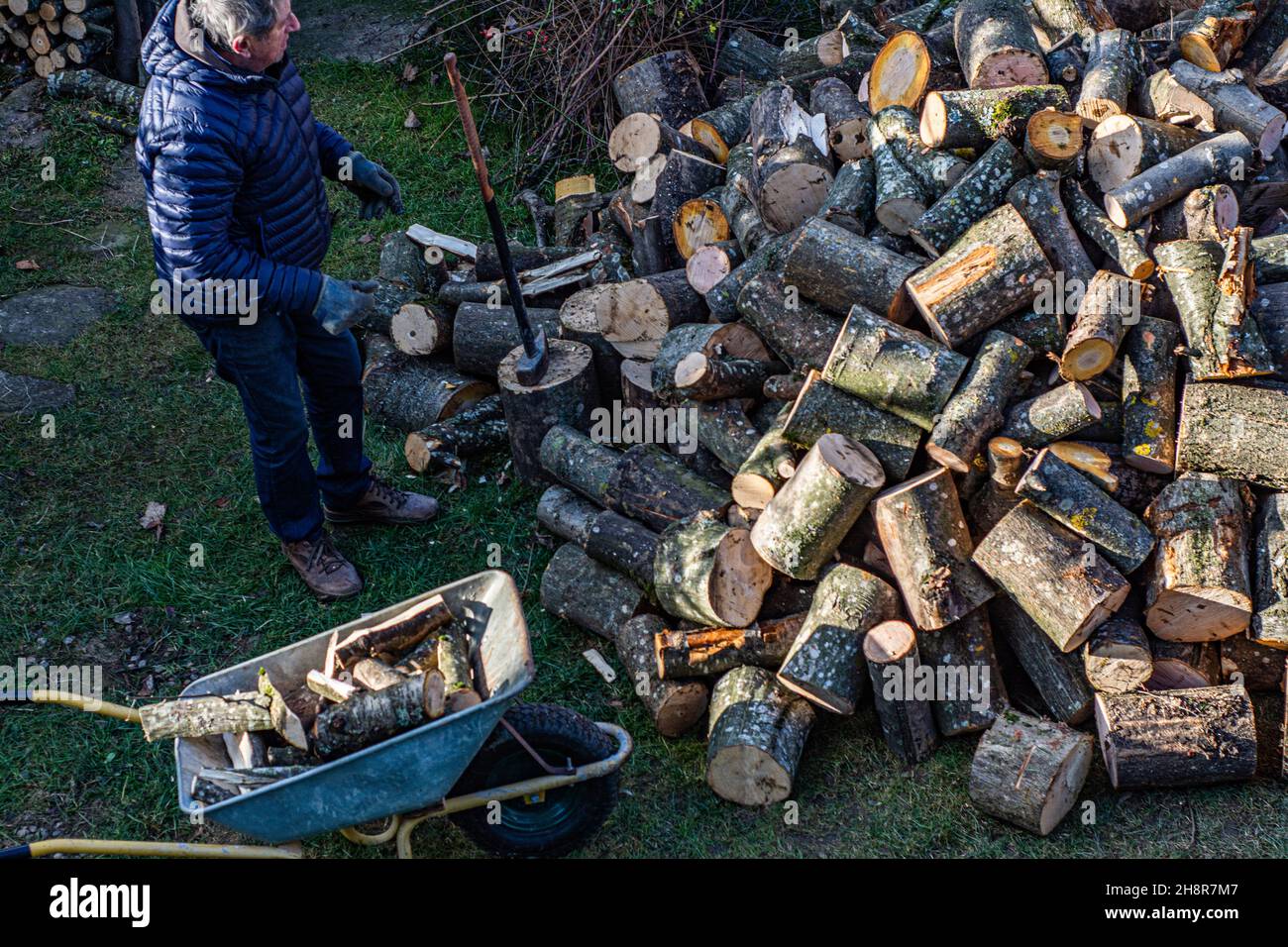 Man chopping wood with an ax in his hand. Standing by a log for ...