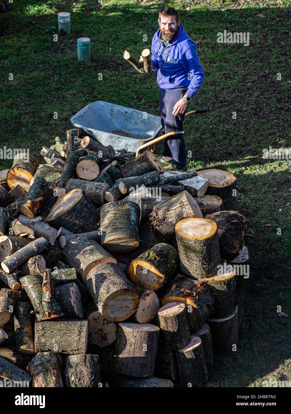 Man chopping wood with an ax in his hand. Standing by a log for ...