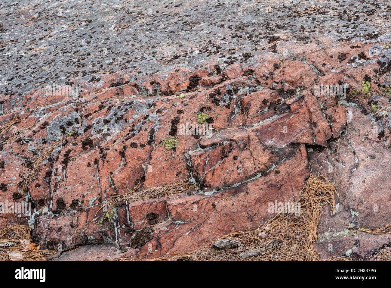 Pre cambrian shield hi-res stock photography and images - Alamy