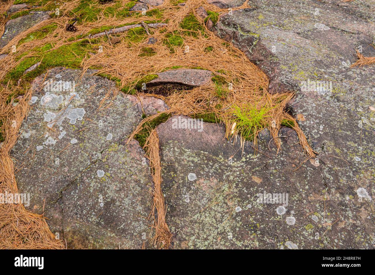 Pre cambrian granite outcrops hi-res stock photography and images - Alamy