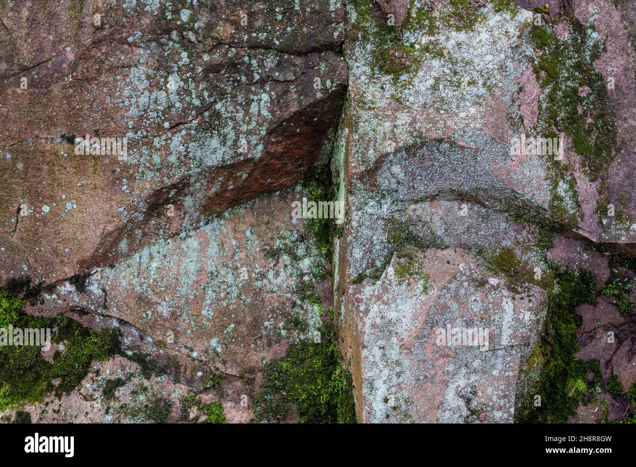 Pre-Cambrian rock outcrops in a pine forest, Killarney Provincial Park ...