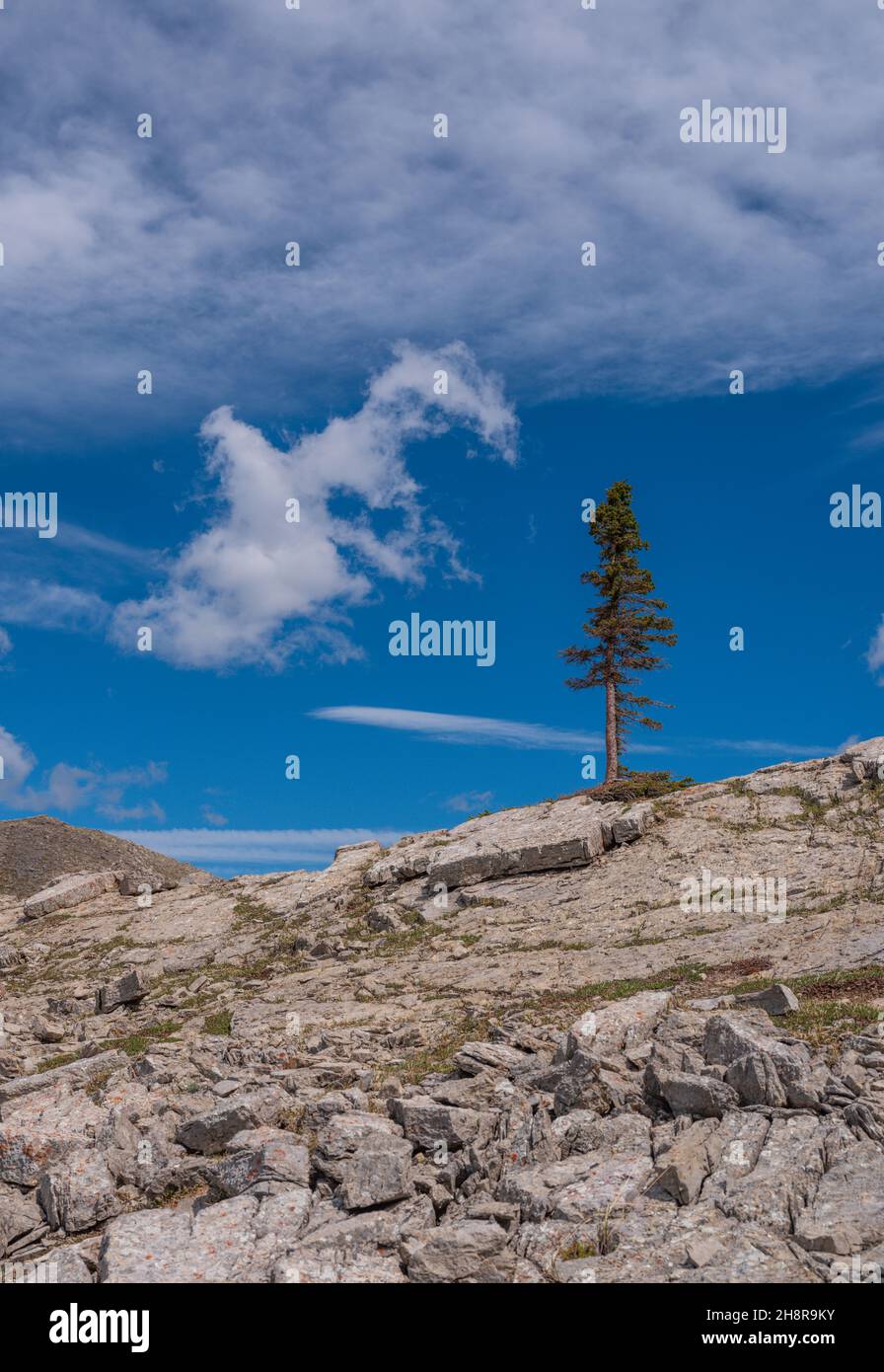 Ghost cloud hi-res stock photography and images - Alamy