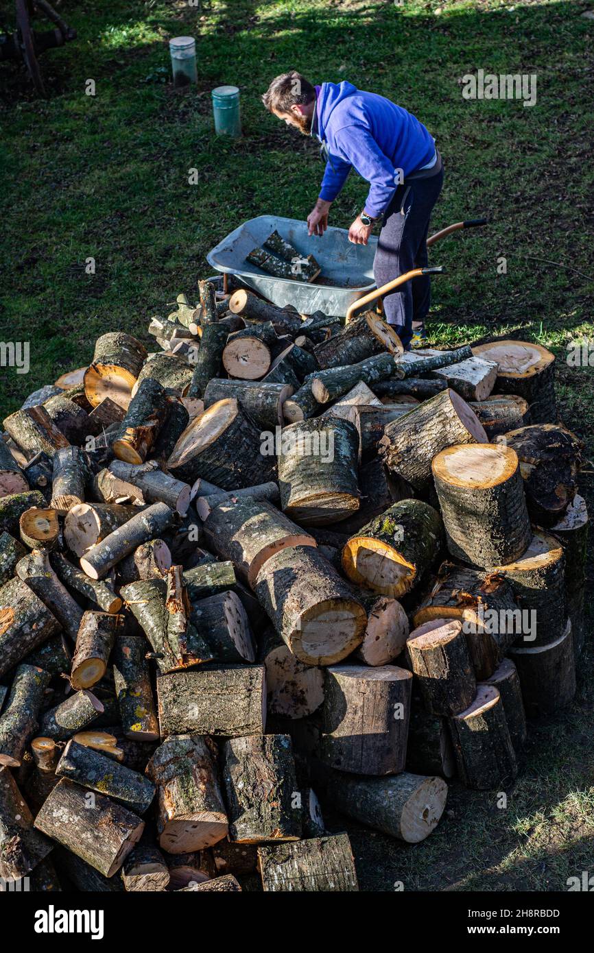 Man chopping wood with an ax in his hand. Standing by a log for ...