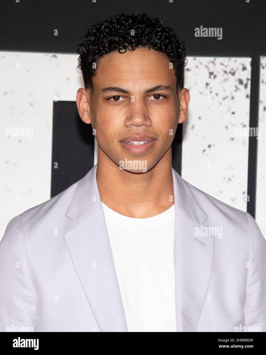 Jude wilson hi-res stock photography and images - Alamy