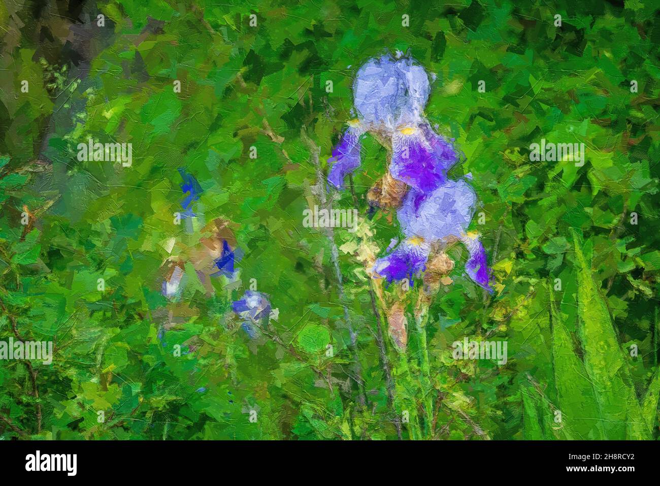 wild flower in nature reserve, Multicolored texture painting Stock ...