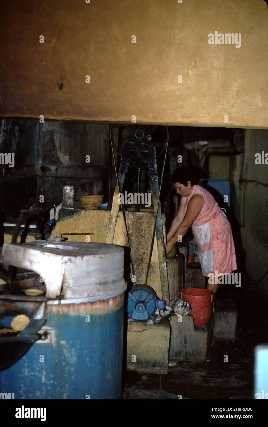 Merida mexico tortilla bakery hi-res stock photography and images - Alamy