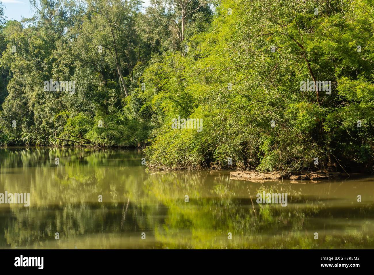 Landscape Of Streams And Forests Stock Photo Alamy