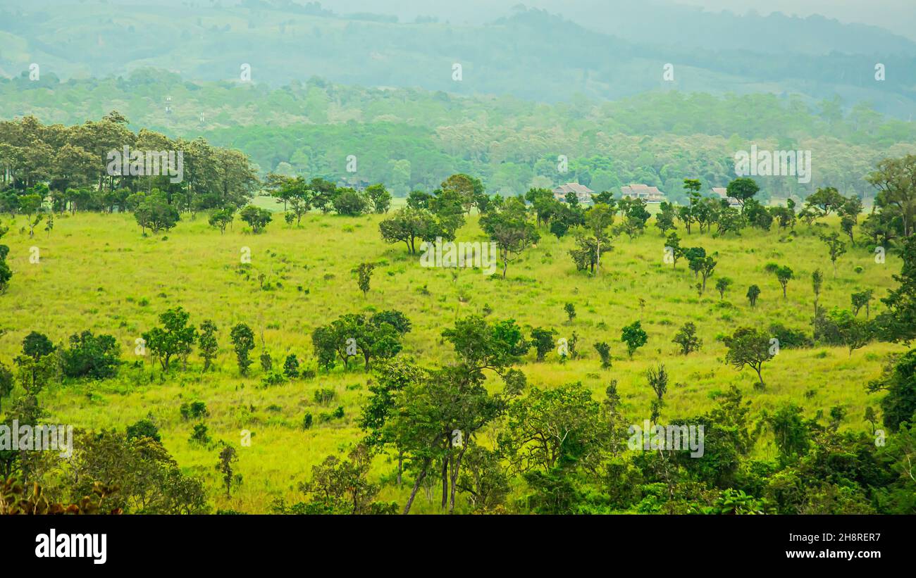 Beautiful forest landscape in Thung Salaeng Luang National Park at ...