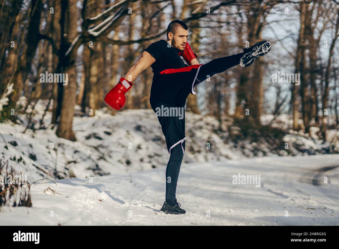 Strong muscular fighter with boxing gloves sparring in nature at snowy ...