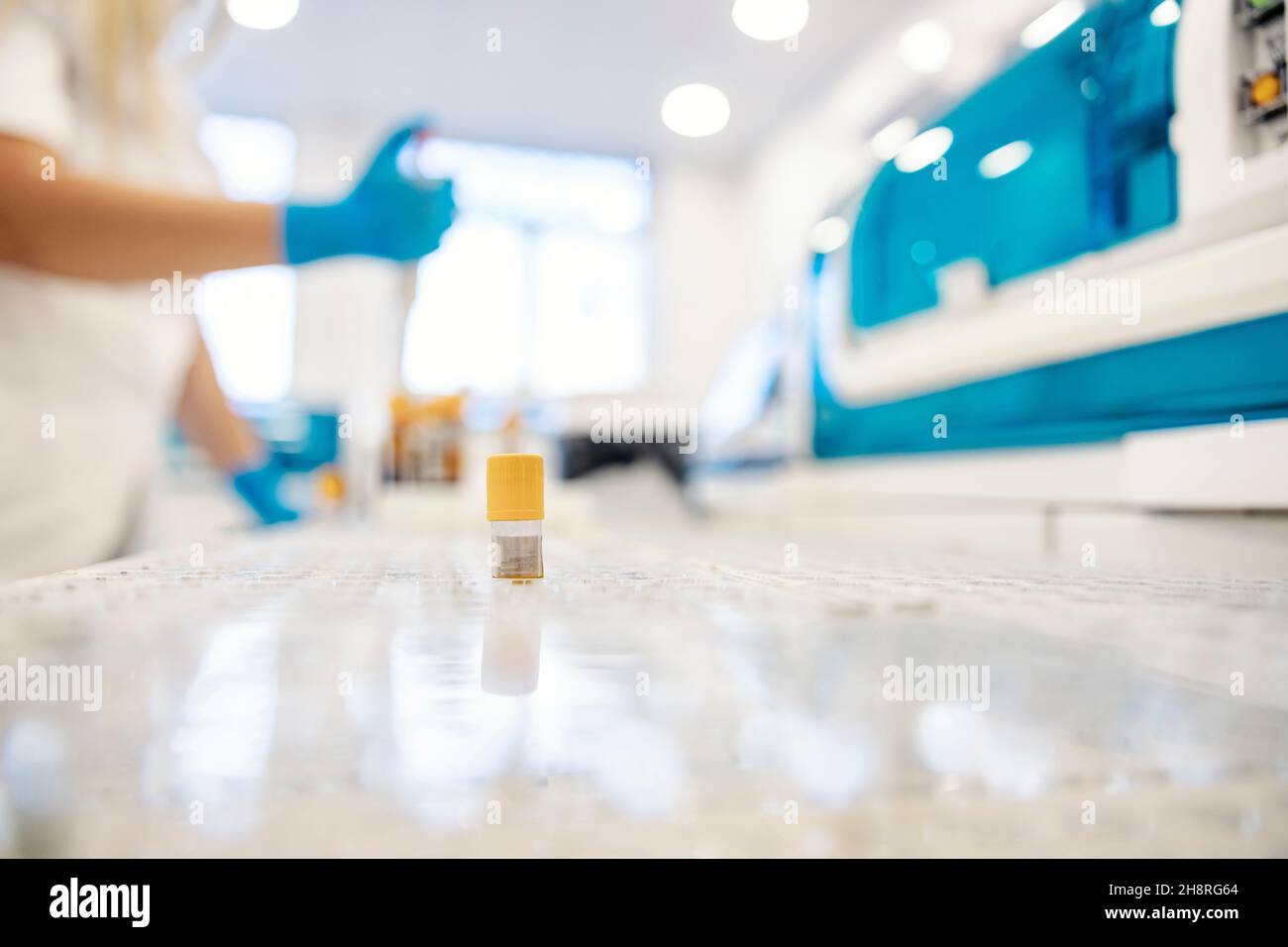Close up of a test tube with blood sample on a rack in the laboratory ...